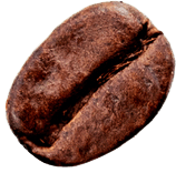 Hot Lava Java | House blends | Taylors of Harrogate